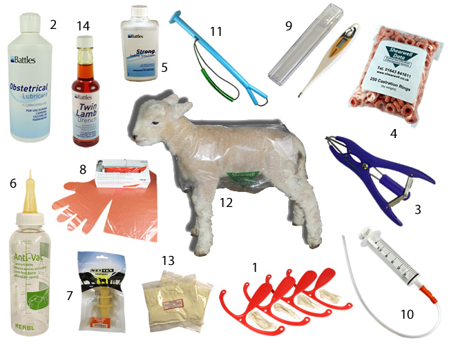 Lambing Essentials Kit :: Shearwell.co.uk
