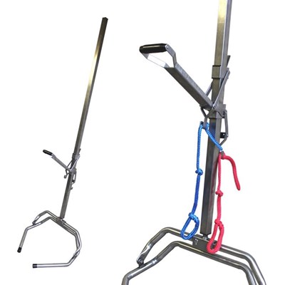 Calving :: Shearwell.co.uk