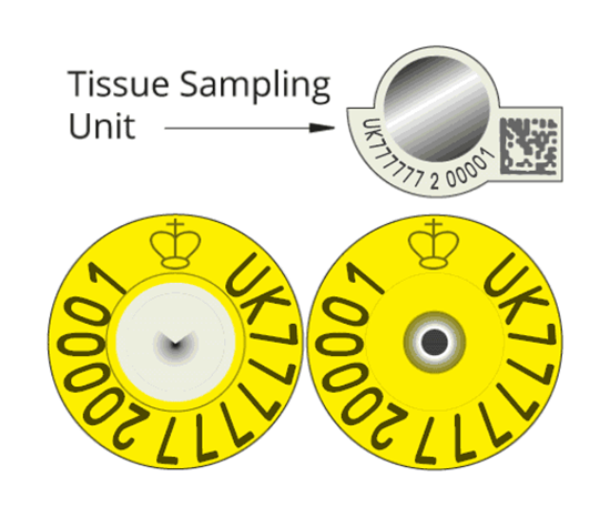 England and Wales Cattle New Run Secondary OS ID® BVD TST Button Tag ...
