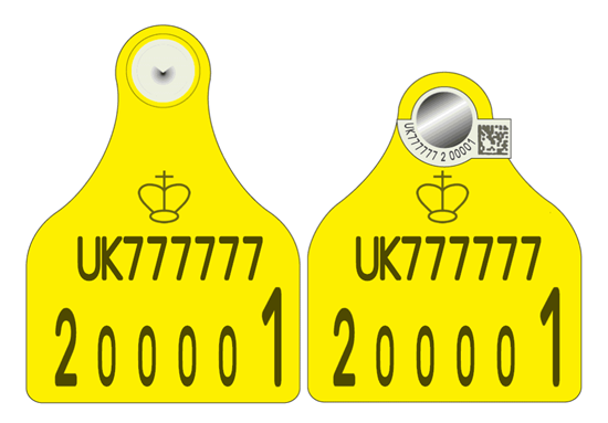 Scotland Cattle New Run Primary OS ID® BVD TST Flag Tag :: Shearwell.co.uk