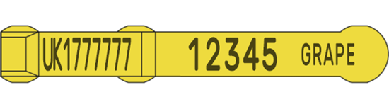 Northern Ireland Sheep Replica Visual SET Tag | Layout 2 :: Shearwell.co.uk