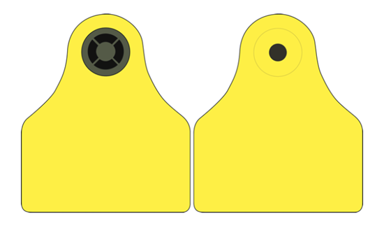 Scotland Cattle Combi 3000® Small | Blank Tag :: Shearwell.co.uk